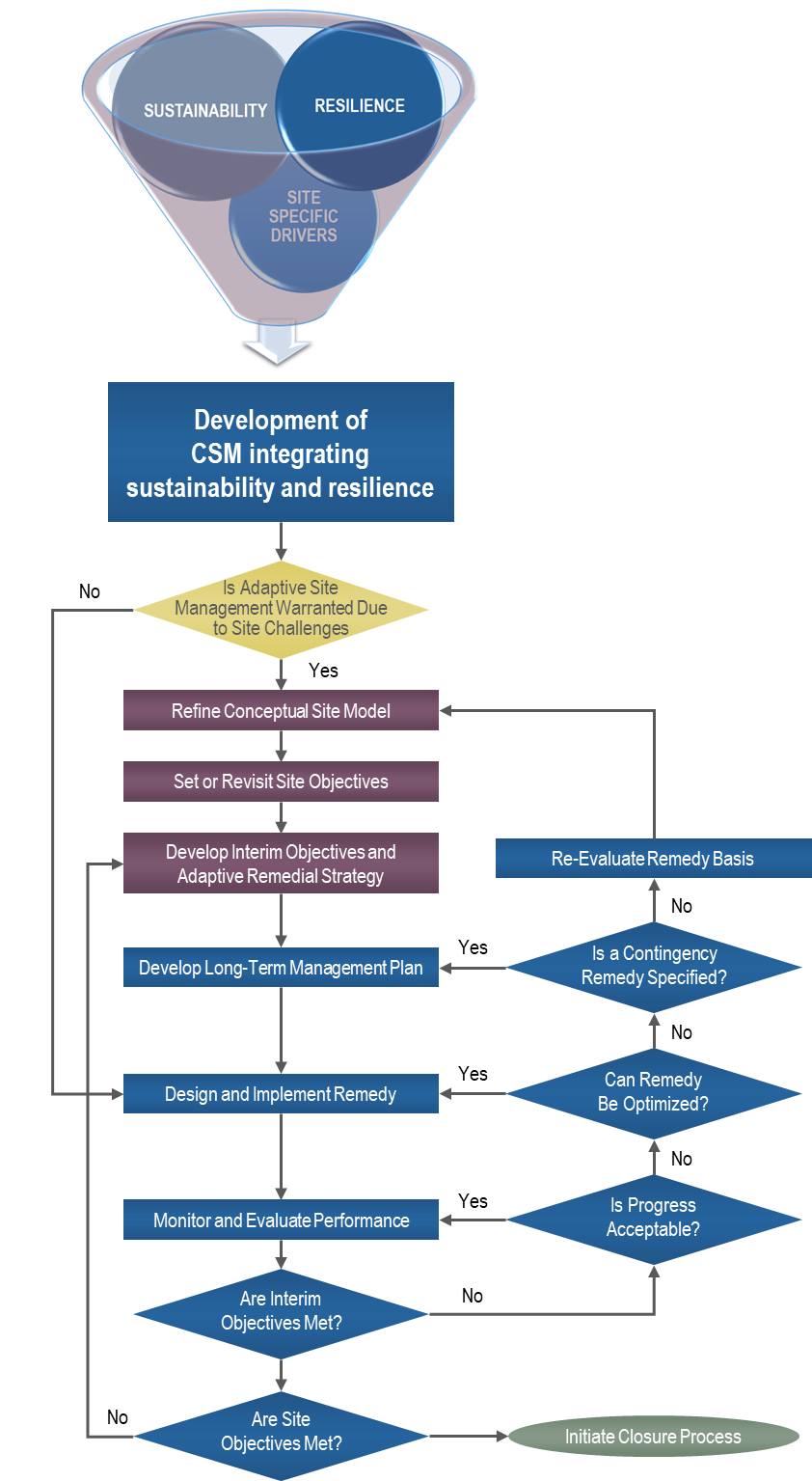 Integrating Resilience and Sustainability into the Remedial Project ...